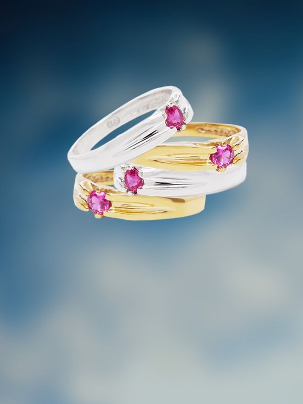 Galaxy & Co Online Shopping in South Africa | Bash