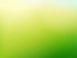 The Fix Online Shopping in South Africa | Bash