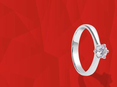 American Swiss Online Shopping in South Africa | Bash