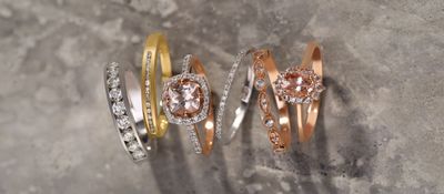 American Swiss Online Shopping in South Africa | Bash