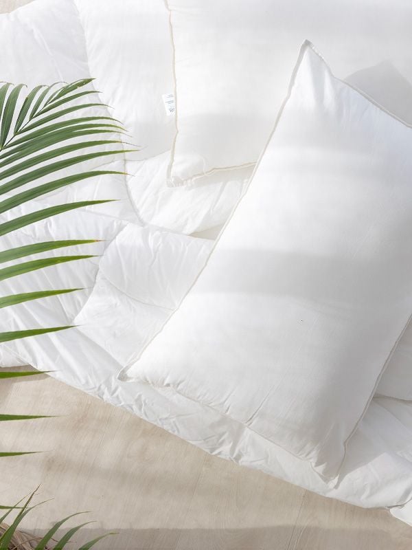 Shop Volpes Products Online in South Africa | Bash